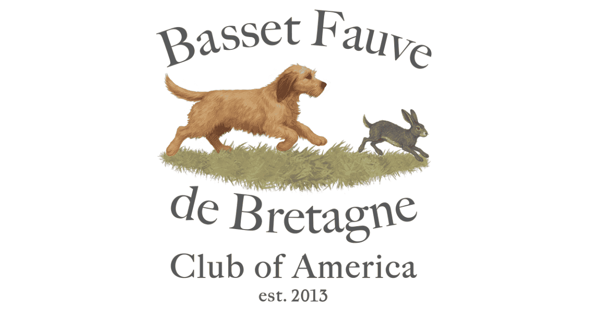 About Fauves | Basset Fauve de Bretagne Club of America